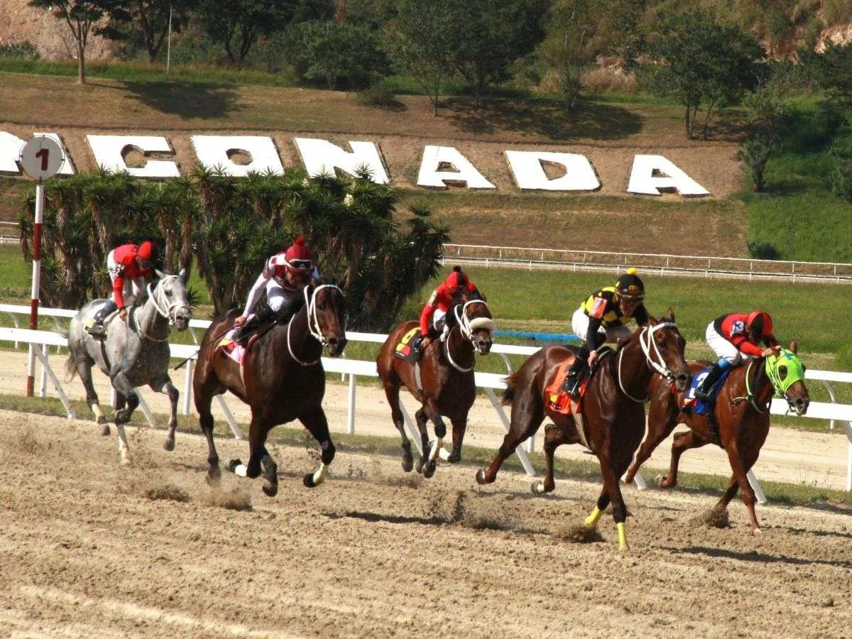 Programadas 10 carreras el domingo en Caracas