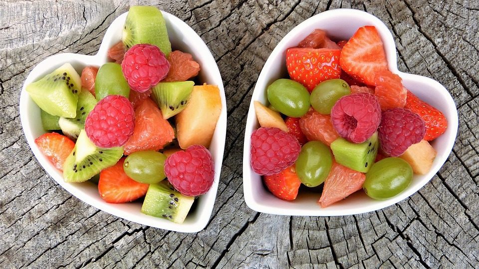 ¿Sabes qué es un frugívoro?