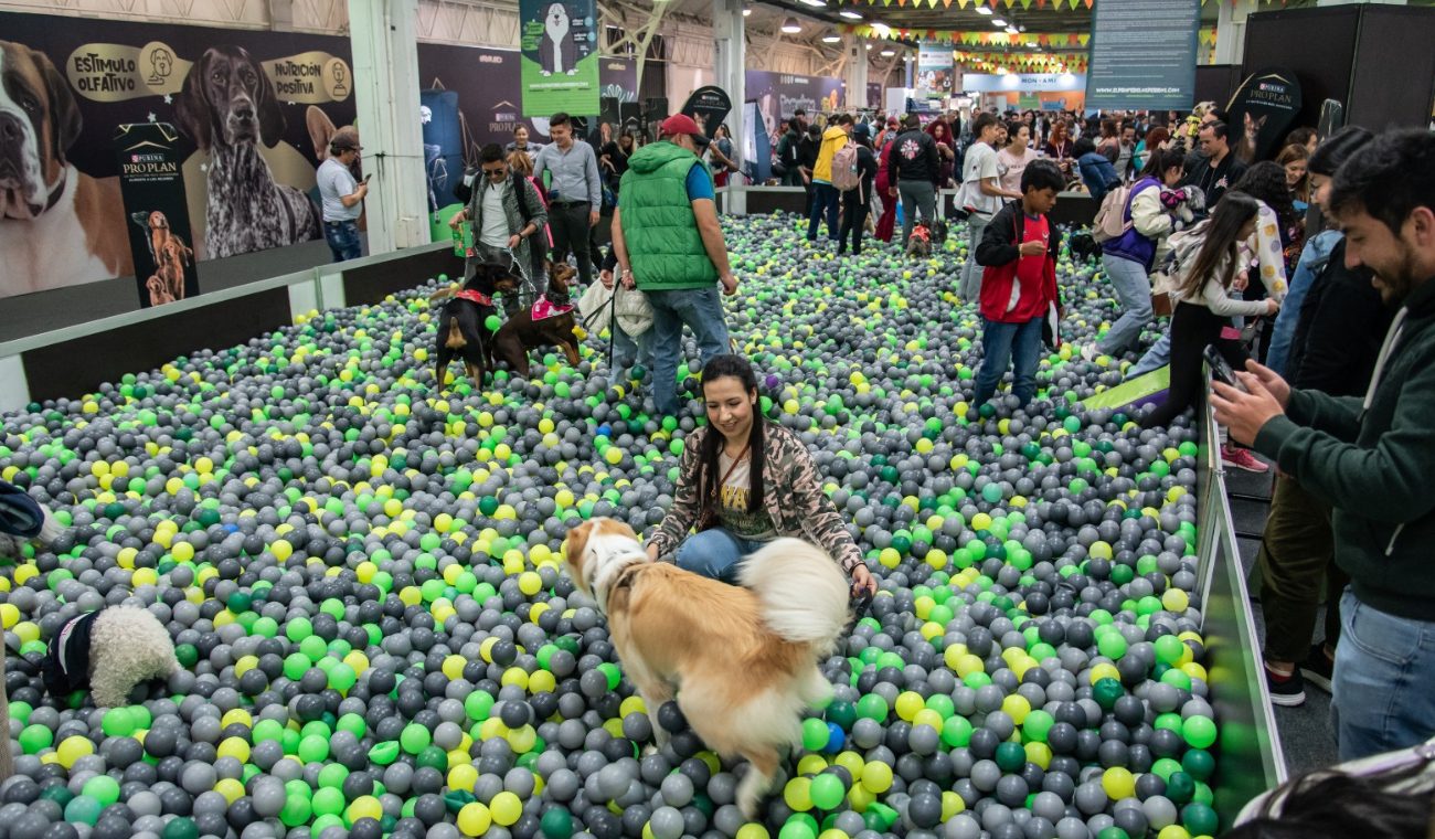 Expopet 2025: fechas, programación y entradas para la feria de mascotas
